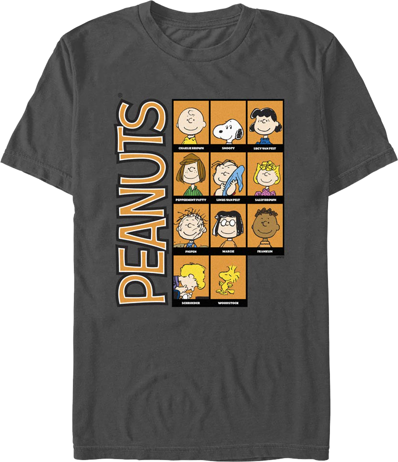Classic Character Blocks Peanuts T-Shirt