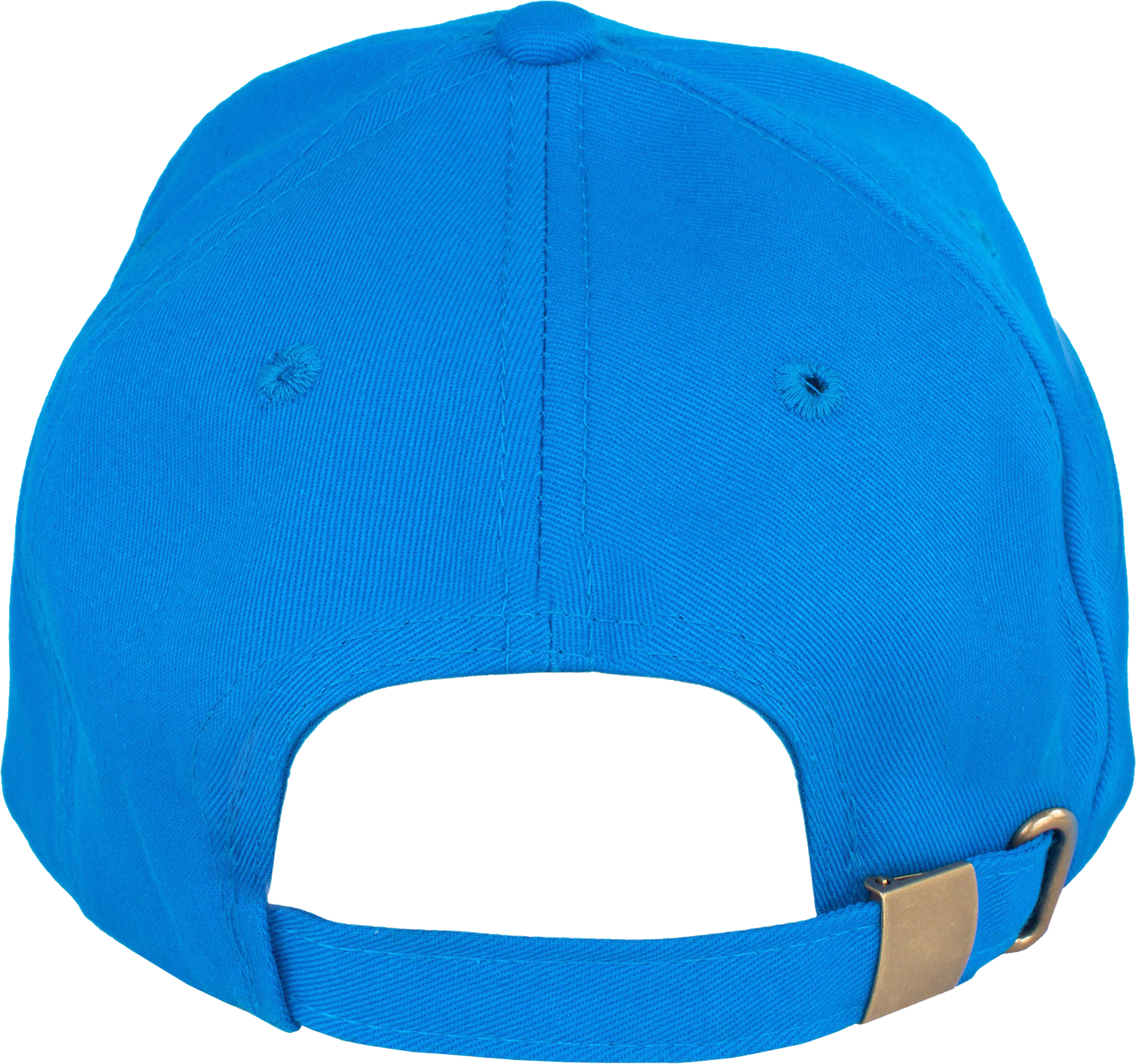 Polar Bear ICEE Adjustable Hat