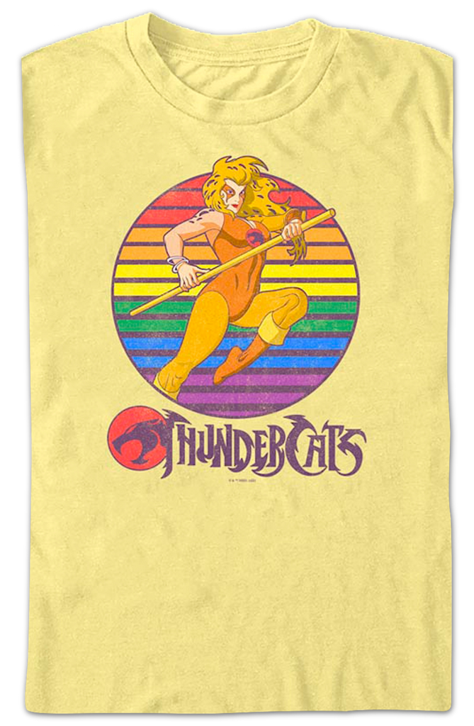 Thundercats Characters Cheetara