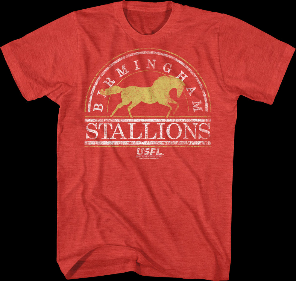 Birmingham Stallions USFL T-Shirt